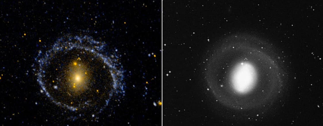 Ring galaxy? - Beautiful or unusual objects - LegacySurvey.org Discussion